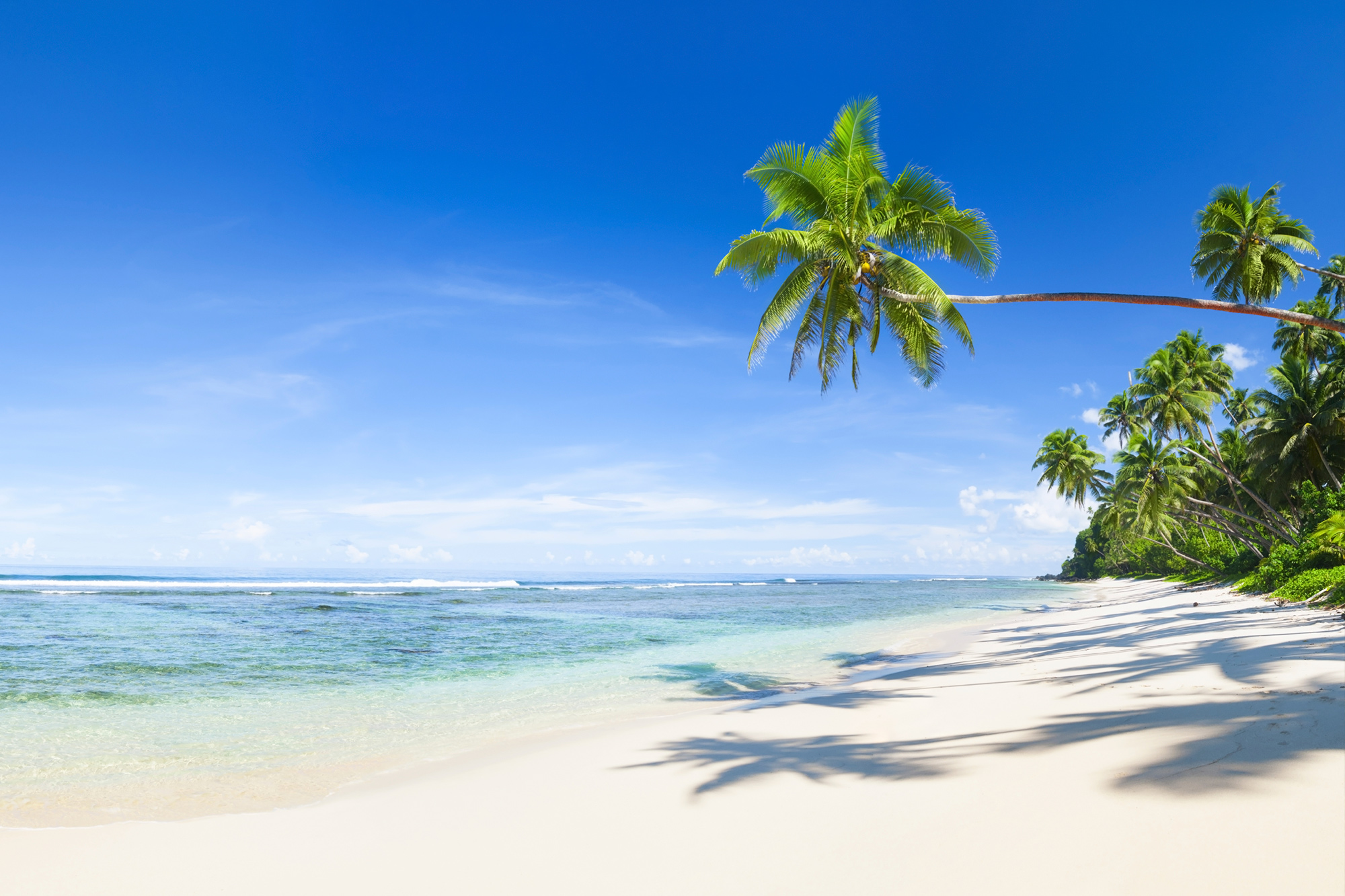 TUI | Reisekalender: Wann wohin in die Ferien?